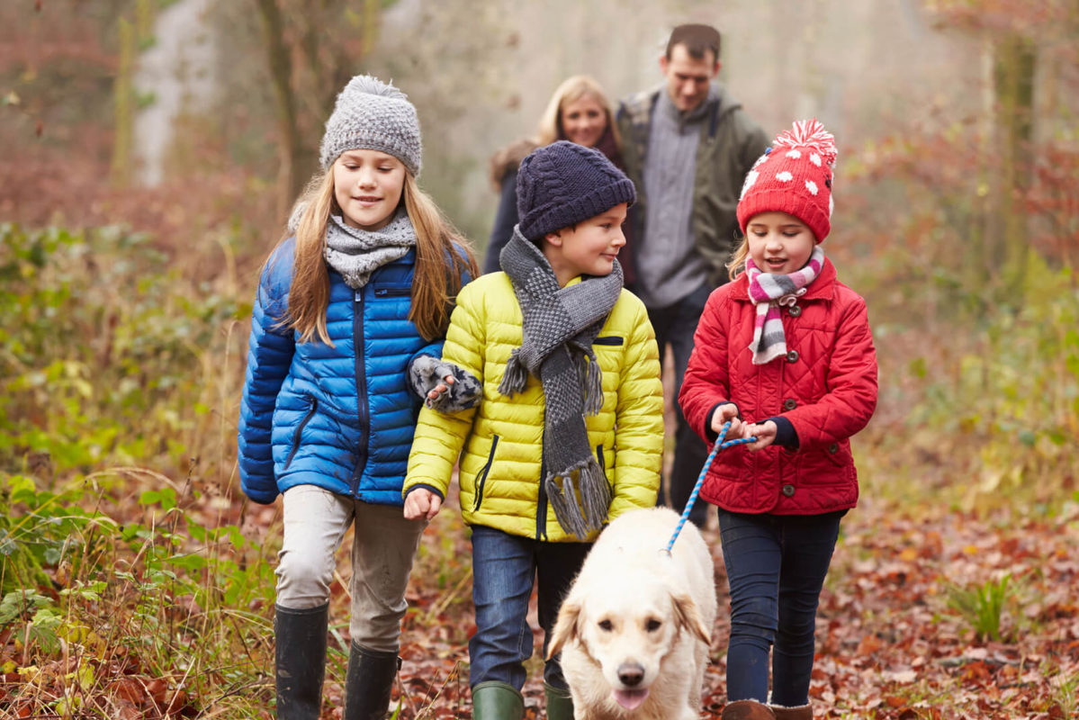 Pet Friendly Room Pet Friendly Hotel Cork Castlemartyr Resort pet-friendly-room-pet-friendly-hotel-cork-castlemartyr-resort