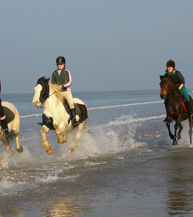 Activities | Things To Do In Cork | 5* Castlemartyr Resort Hotel