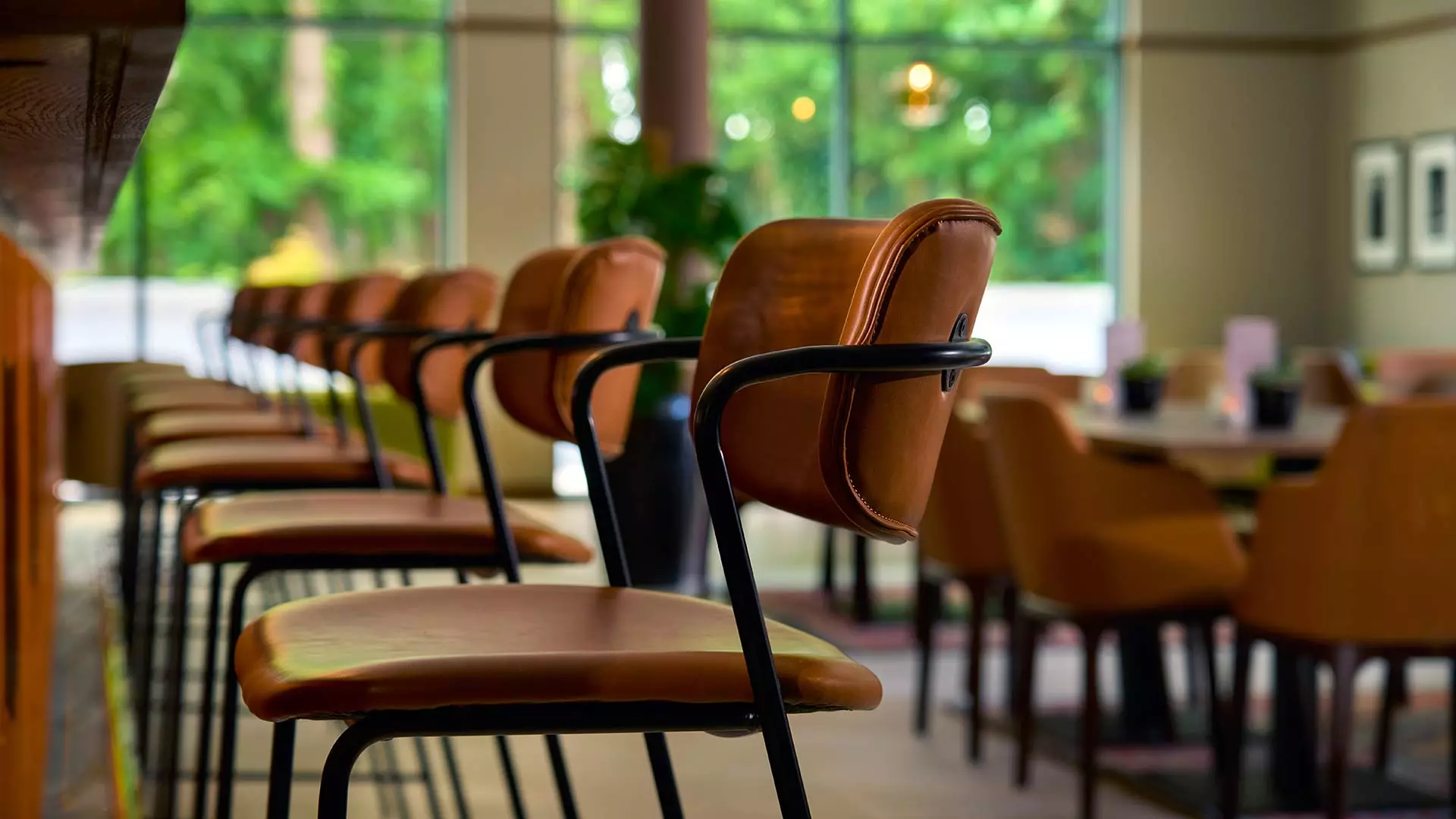 Canopy Bar | Pubs In Cork | 5* Castlemartyr Resort Hotel