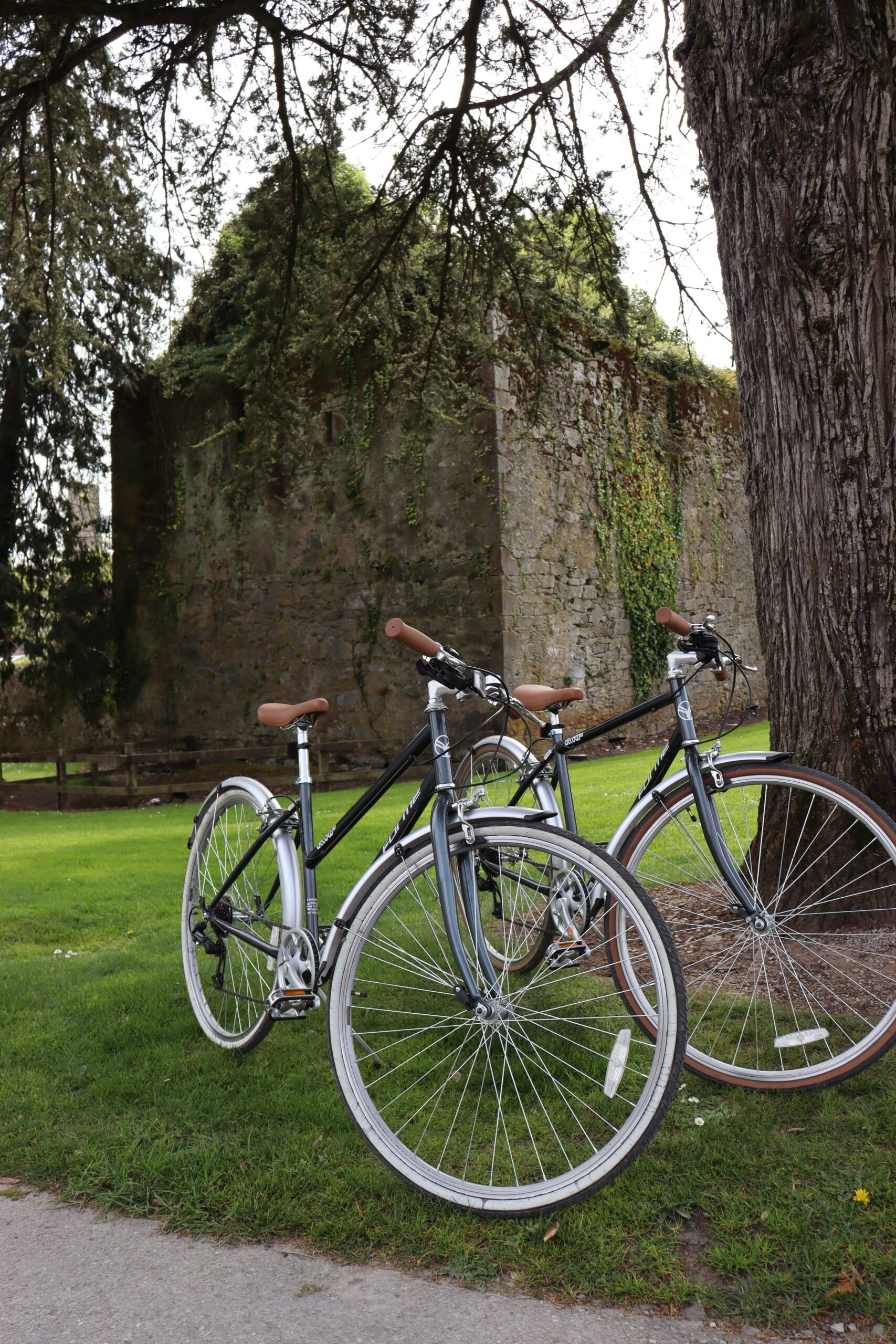 Fun Activities in Cork | Local Attractions | Castlemartyr Resort Hotel