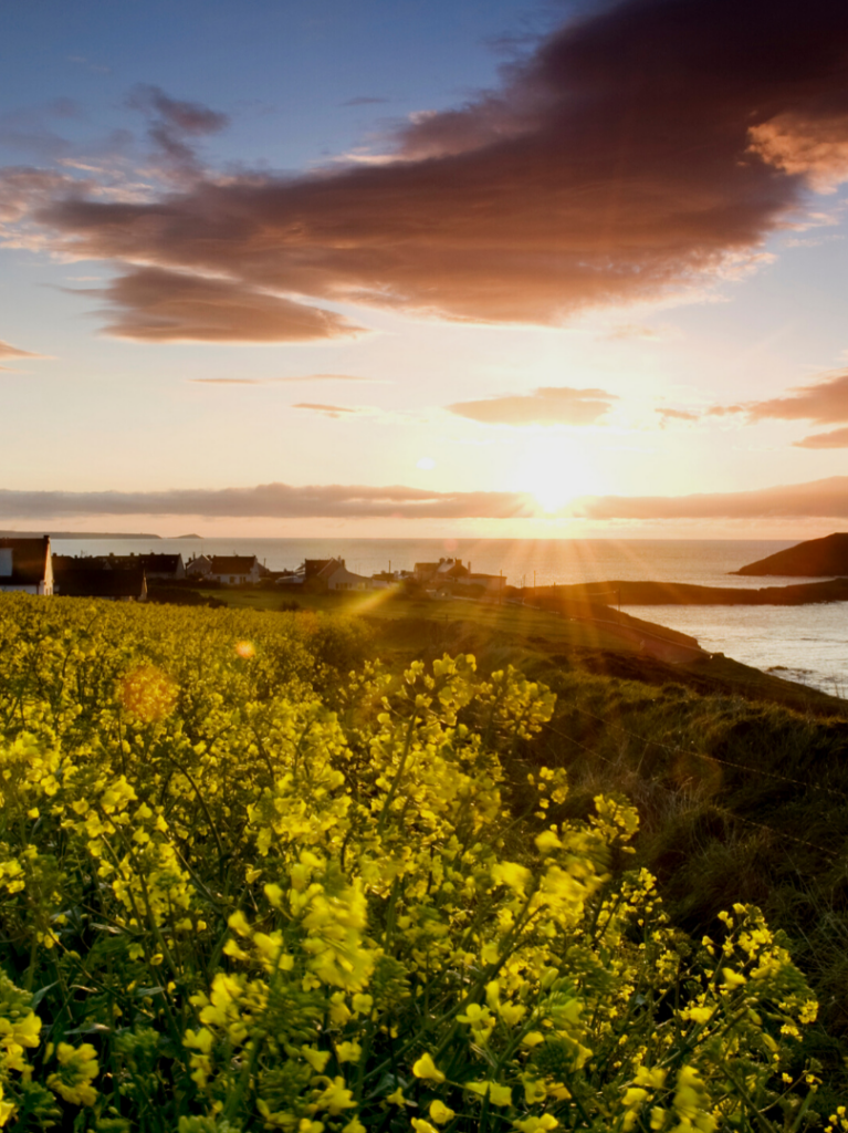 Ballycotton Cliff Walks | Walking Trail Cork | Castlemartyr Resort